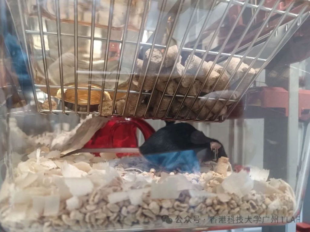 Home - LABORATORY ANIMAL FACILITY (GZ)